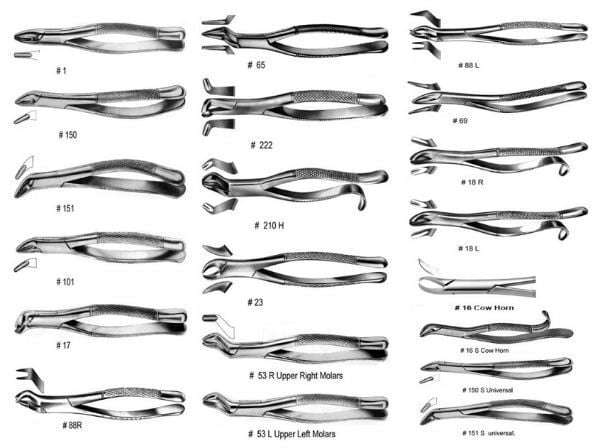 Extracting Forceps, Prestige Dental Products