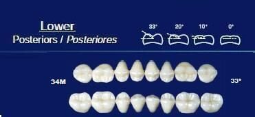 Lower Posterior Acrylic Resin Teeth #34M, NewTek, Dental Supplies