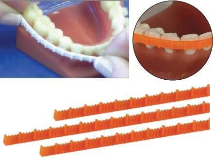 Orthodontic Arch Measuring Device, Dentsply, Prestige Dental Products